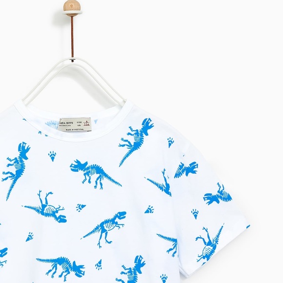 Zara | Shirts & Tops | Zara Boys Dinosaur Print Tshirt | Poshmark